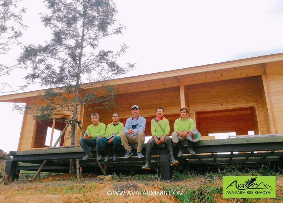 ไม้ล้อมจัดสวนด้วยซิลเวอร์โอ๊ค - Avafarm888